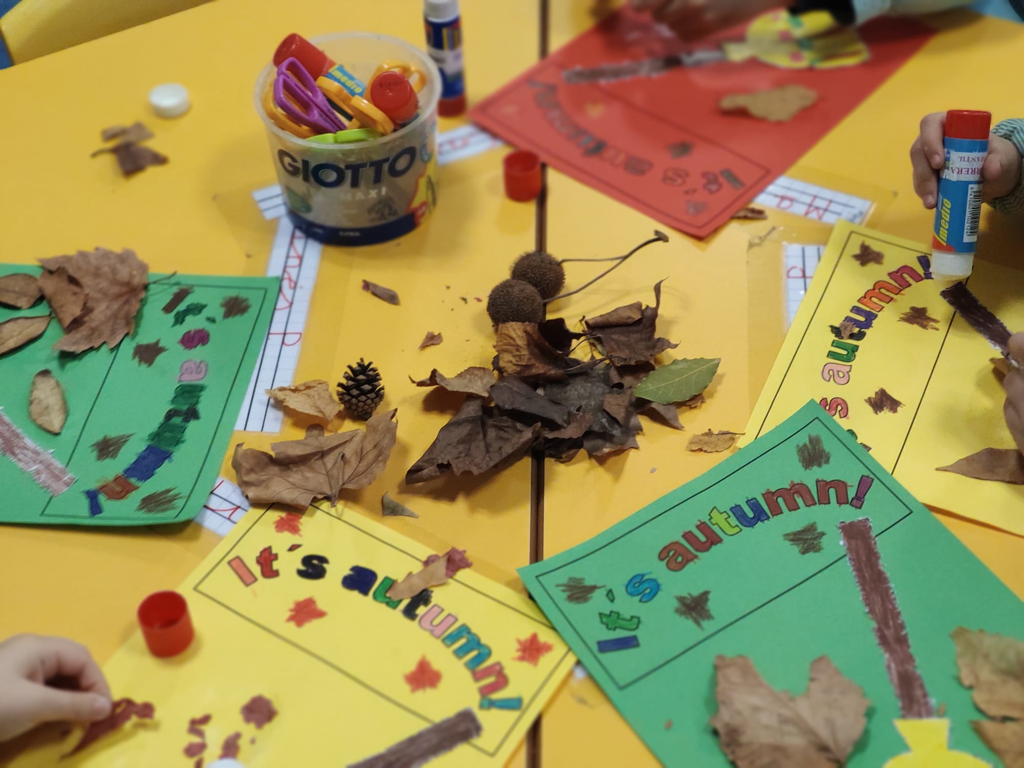 autumn-activity-10 - Senara